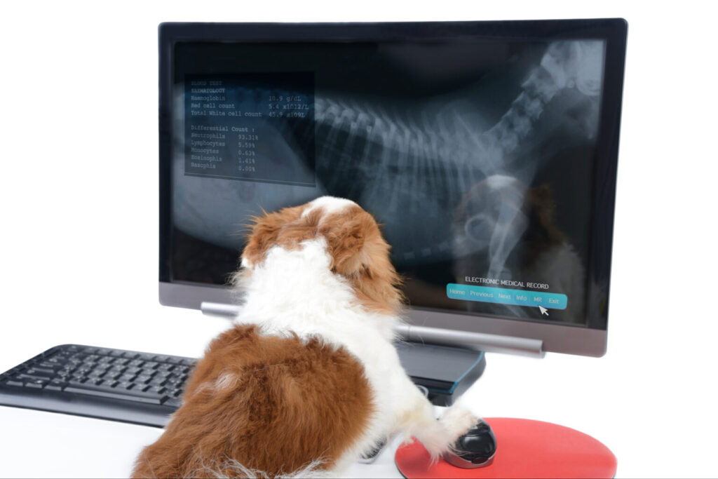 Veterinary Radiology Solutions – medQ, inc.